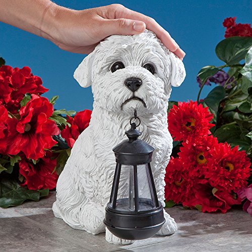 Bits and Pieces - Bichon Solar Lantern Statue - Solar Powered Garden Lantern - Resin White Dog Sculpture with LED Light - Outdoor Lighting and Décor Maltese, Bolognese, Coton de Tulear, Havanese