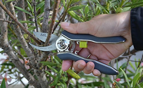 MLTOOLS Bypass Pruning Shears Compact Heavy Duty & Ultra Sharp for Gardening – 6.7 Inch Stainless-Steel Garden Shears – for Both Left & Right Handers – Ergonomic Trimming Shears – P8245