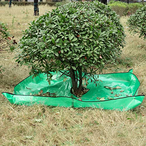 Landscape Tarp for Trimming with 12 inch Hole -Garden Tree Pruning Waterproof Tarp,Four Corners Has Corner Buckles Can Stand Up Fasten Around Trees and Shrubs