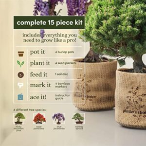 Bonsai Starter Kit - Gardening Gift for Women & Men - Bonsai Tree Growing Garden Crafts Hobby Kits for Adults, Unique DIY Hobbies for Plant Lovers - Unusual Christmas Gifts Ideas, or Gardener Mother