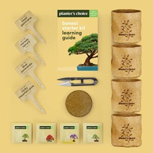 Bonsai Starter Kit - Gardening Gift for Women & Men - Bonsai Tree Growing Garden Crafts Hobby Kits for Adults, Unique DIY Hobbies for Plant Lovers - Unusual Christmas Gifts Ideas, or Gardener Mother