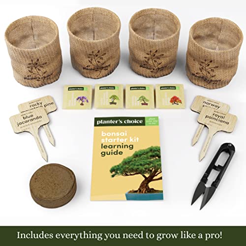 Bonsai Starter Kit - Gardening Gift for Women & Men - Bonsai Tree Growing Garden Crafts Hobby Kits for Adults, Unique DIY Hobbies for Plant Lovers - Unusual Christmas Gifts Ideas, or Gardener Mother