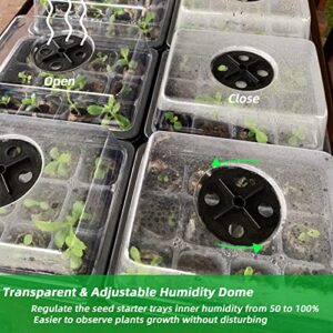 Seed Starter Tray Kit, 20 Packs Seed Starting Trays with Seedling Tray and Humidity Dome, 240 Cells Plant Starter Trays Germination Growing Propagation Trays for Indoor Seed Starter - Dark Green