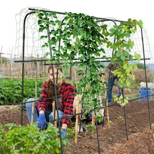 Garden Cucumber Trellis for Climbing Plants Outdoor, 57.9in Metal Plant Support Trellis for Climbing Vine Vegetable/Fruit/Flower Outdoor Yard Lawn Garden A Frame Trellis