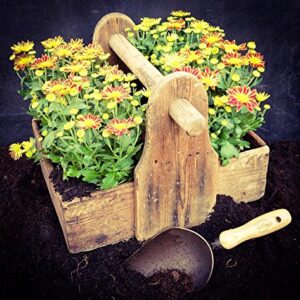 Tierra Garden Dewit Forged Scoop with Ash Handle