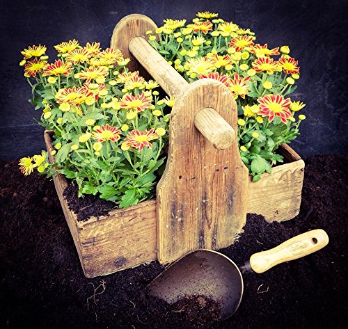 Tierra Garden Dewit Forged Scoop with Ash Handle