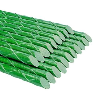 eco-friendly 2-ft fiberglass garden stakes, tomato stakes, plant stakes (pack of 20), 0.25-inch dia