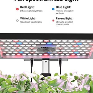 iDOO WiFi 12 Pods Hydroponic Growing System with 6.5L Water Tank, Smart Hydro Indoor Herb Garden Up to 14.5", Plants Germination Kit with Pump System, Fan, Grow Light for Home Kitchen Gardening, Black