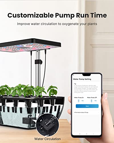 iDOO WiFi 12 Pods Hydroponic Growing System with 6.5L Water Tank, Smart Hydro Indoor Herb Garden Up to 14.5", Plants Germination Kit with Pump System, Fan, Grow Light for Home Kitchen Gardening, Black