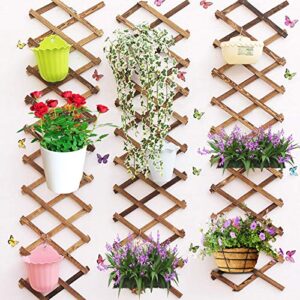 Iceyyyy Wood Lattice Wall Planter - 2Pack Expandable Hanging Wooden Planter Trellis Frame, Indoor Air Plant Vertical Rack Wall Decor for Room Garden