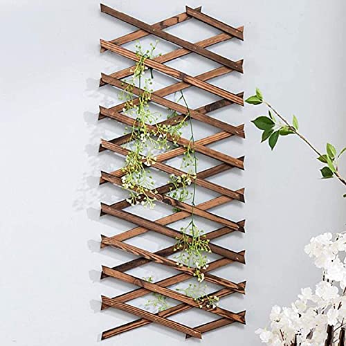 Iceyyyy Wood Lattice Wall Planter - 2Pack Expandable Hanging Wooden Planter Trellis Frame, Indoor Air Plant Vertical Rack Wall Decor for Room Garden