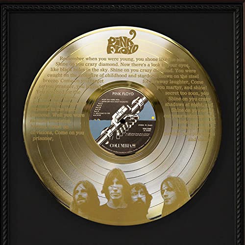 Pink Floyd - Shine On You Crazy Diamond Cherrywood Framed LP Ltd Legends Signature Display M4