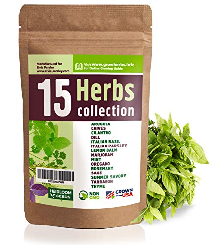 15 Culinary Herb Seeds Variety - USA Grown for Indoor or Outdoor Garden - Heirloom and Non GMO - Basil, Parsley, Cilantro, Dill, Rosemary, Mint, Thyme, Oregano, Tarragon, Chives, Sage, Arugula & More