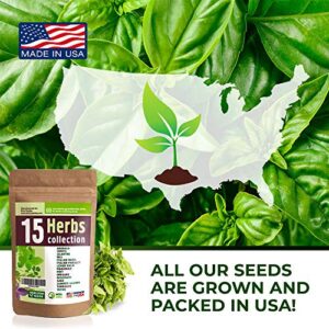 15 Culinary Herb Seeds Variety - USA Grown for Indoor or Outdoor Garden - Heirloom and Non GMO - Basil, Parsley, Cilantro, Dill, Rosemary, Mint, Thyme, Oregano, Tarragon, Chives, Sage, Arugula & More