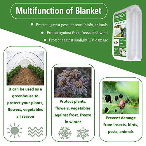 Garden expert Plant Covers Freeze Protection Floating Row Cover 0.9oz Fabric Frost Cloth Plant Blanket for Plants & Vegetables in Winter(8FTx15FT,with 6 PCS Staples Stakes)