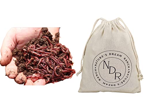 Nature's Dream Ranch 50 Count Red Wiggler Worms Vermicomposting Garden Red Earthworm