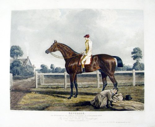 Reveller, the Winner of the Great St. Leger, at Doncaster, 1818.