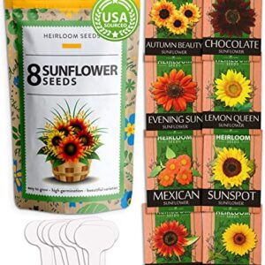 Sunflower Seeds for Planting Outside | 8 Variety Pack | Perennial Flower Seed for Your Sunflower Garden - Plant Mexican, Lemon Queen, Autumn Beauty | Dwarfs: Sunspot, Velvet Queen & More