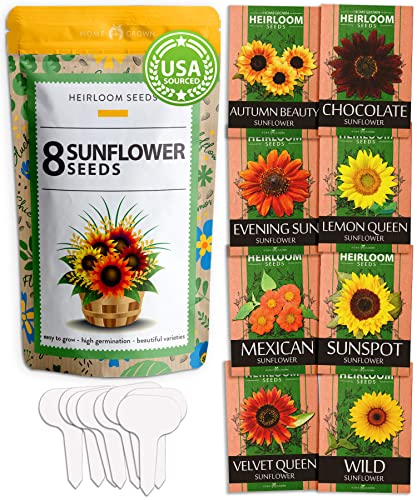 Sunflower Seeds for Planting Outside | 8 Variety Pack | Perennial Flower Seed for Your Sunflower Garden - Plant Mexican, Lemon Queen, Autumn Beauty | Dwarfs: Sunspot, Velvet Queen & More