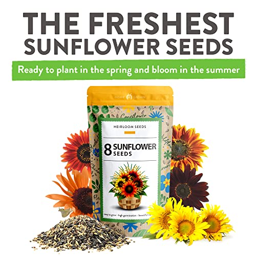 Sunflower Seeds for Planting Outside | 8 Variety Pack | Perennial Flower Seed for Your Sunflower Garden - Plant Mexican, Lemon Queen, Autumn Beauty | Dwarfs: Sunspot, Velvet Queen & More