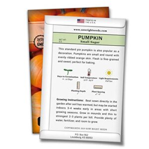 Sow Right Seeds - Small Sugar Pumpkin Seed for Planting - Non-GMO Heirloom Packet with Instructions to Plant a Home Vegetable Garden - Great Gardening Gift (1)