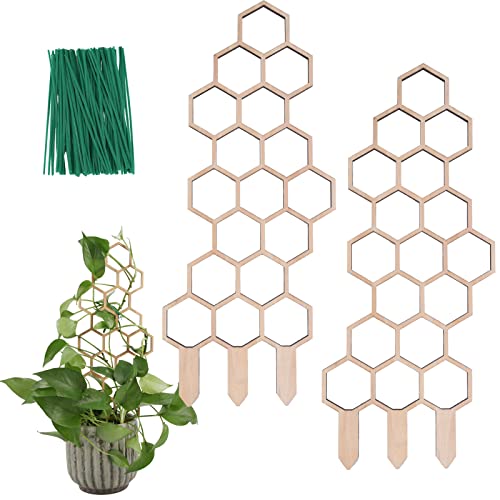 WellSign Wooden Trellis for Potted Plants, 16inch Small Garden Plant Trellis for Climbing Plants Indoor with Moisture-Proof Layer for Ivy Vine Plant, Honeycomb Trellis Flower Pot Plant Support 2Pack