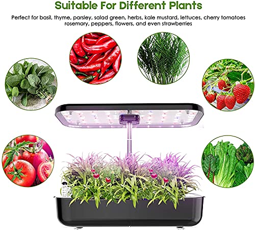 Hydroponics Growing System Accessories, A+B Plant Food Suitable for Most Hydroponic Planting Systems