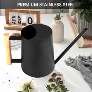 Watering Can Indoor Plants, 35 oz/1000 ml Metal Stainless Steel Watering Can Small Modern Watering Pot with Long Spout for Indoor House Plants Bonsai Outdoor Garden Flower Decorative (Black)