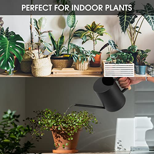 Watering Can Indoor Plants, 35 oz/1000 ml Metal Stainless Steel Watering Can Small Modern Watering Pot with Long Spout for Indoor House Plants Bonsai Outdoor Garden Flower Decorative (Black)