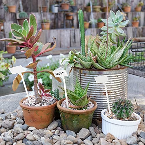 KINGLAKE GARDEN Outdoor Plastic Plant Labels,11.8 inch 30 Pack Outdoor Waterproof Durable Nursery Garden Markers,Plant Markers for Herbs,Flowers,Vegetable,Outdoor Indoor Plant