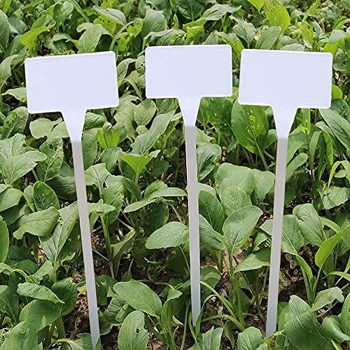 KINGLAKE GARDEN Outdoor Plastic Plant Labels,11.8 inch 30 Pack Outdoor Waterproof Durable Nursery Garden Markers,Plant Markers for Herbs,Flowers,Vegetable,Outdoor Indoor Plant