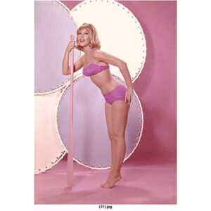 barbara eden 8 inch x 10 inch photograph from slide i dream of jeannie 7 faces of dr. lao harper valley p.t.a. wearing purple bikini leaning on oar kn