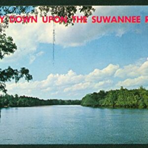 Suwannee River Stephen Foster Song Florida Live Oaks Spanish Moss Vintage Postcard