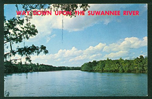 Suwannee River Stephen Foster Song Florida Live Oaks Spanish Moss Vintage Postcard