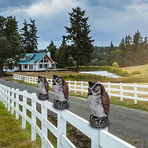 Hausse 3 Pack Bird Scarecrow Fake Horned Owl Decoy, Plastic Owl Bird Deterrents, Halloween Outdoor Decoration, Nature Enemy Pest Repellent for Outdoor Garden Yard, Black