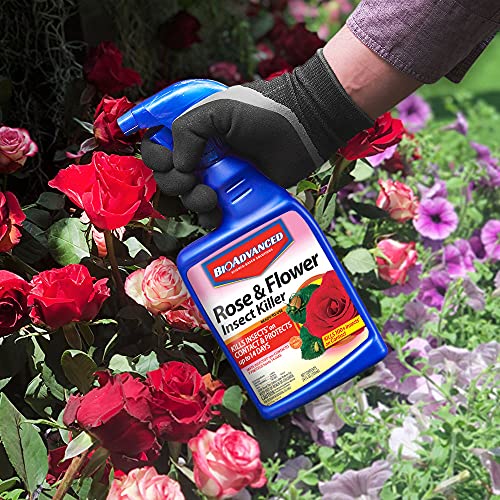 BioAdvanced Rose and Flower Insect Killer, Ready-to-Use, 24 oz