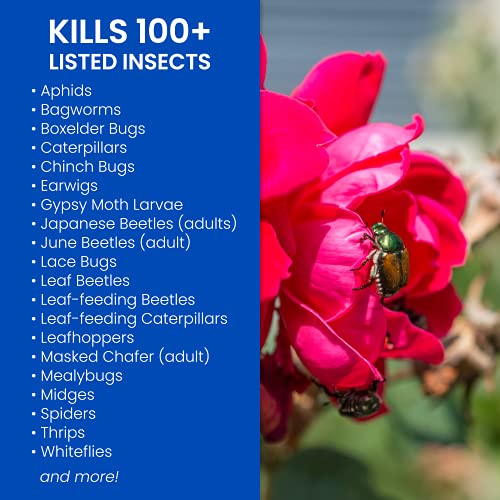 BioAdvanced Rose and Flower Insect Killer, Ready-to-Use, 24 oz