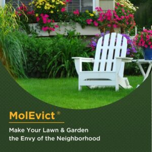 Baar Products - MolEvict Lawn Mole Castor Oil - Mole & Vole Repellent - Lawn & Garden Protection - Up to 5,000 Sq. Ft. of Coverage - Safe for Use Around House & Plants - 32 Ounces