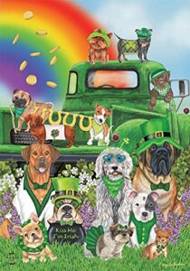 lucky pups st. patrick’s day garden flag dogs humor 12.5″ x 18″ briarwood lane