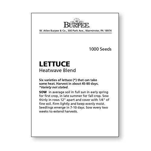 Burpee Heatwave Blend Lettuce Seeds 1000 seeds