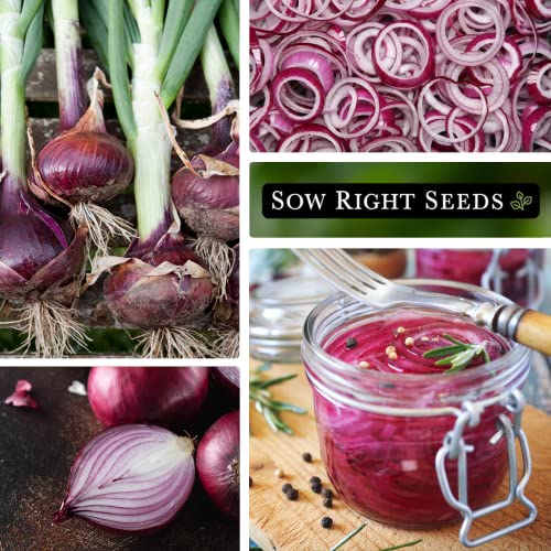 Sow Right Seeds - Red Creole Onion Seed for Planting - Non-GMO Heirloom Packet with Instructions to Plant a Home Vegetable Garden