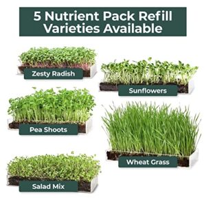 Window Garden Microgreens Grow Kit - Non GMO, Organic Microgreen Seeds, Fiber Soil, Acrylic Tray, Sprayer - Indoor & Outdoor Tools for Gardening, Seedling, Planting Superfood, Hydroponic Growing Kit