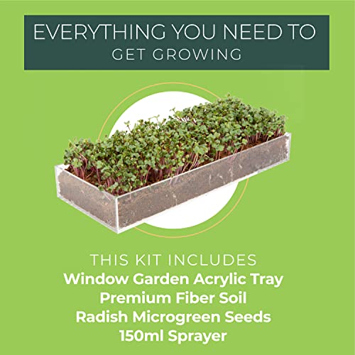 Window Garden Microgreens Grow Kit - Non GMO, Organic Microgreen Seeds, Fiber Soil, Acrylic Tray, Sprayer - Indoor & Outdoor Tools for Gardening, Seedling, Planting Superfood, Hydroponic Growing Kit