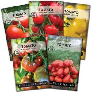 sow right seeds – classic tomato seed collection for planting – cherokee purple, white cherry, large red cherry, marglobe, and roma tomatoes – non-gmo heirloom varieties plant a home vegetable garden