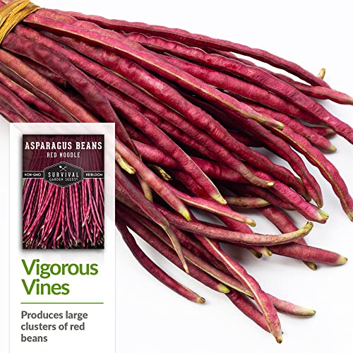 Survival Garden Seeds - Red Noodle Asparagus Bean Seed for Planting - Packet with Instructions to Plant and Extremely Long Stringless Beans in Your Home Vegetable Garden - Non-GMO Heirloom Variety