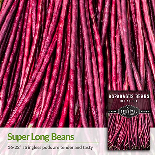 Survival Garden Seeds - Red Noodle Asparagus Bean Seed for Planting - Packet with Instructions to Plant and Extremely Long Stringless Beans in Your Home Vegetable Garden - Non-GMO Heirloom Variety