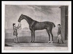 this excellent horse marquis, got by the godolphin colt is the property of mr. vernon won 300 guineas. & the gold cup at newmarket