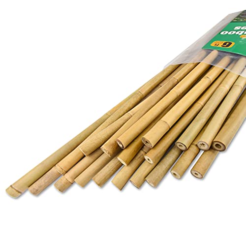 Jollybower 20pcs 5/8" D Thicker Heavy Duty Bamboo Stakes, 6FT Plant Stakes, Natural Garden Stakes for Tomato, Bean, Flowers,Trees Potted and Climbing Plant Support