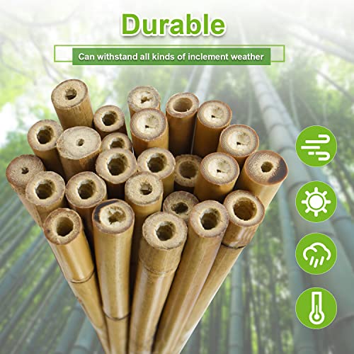 Jollybower 20pcs 5/8" D Thicker Heavy Duty Bamboo Stakes, 6FT Plant Stakes, Natural Garden Stakes for Tomato, Bean, Flowers,Trees Potted and Climbing Plant Support