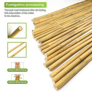 Jollybower 20pcs 5/8" D Thicker Heavy Duty Bamboo Stakes, 6FT Plant Stakes, Natural Garden Stakes for Tomato, Bean, Flowers,Trees Potted and Climbing Plant Support